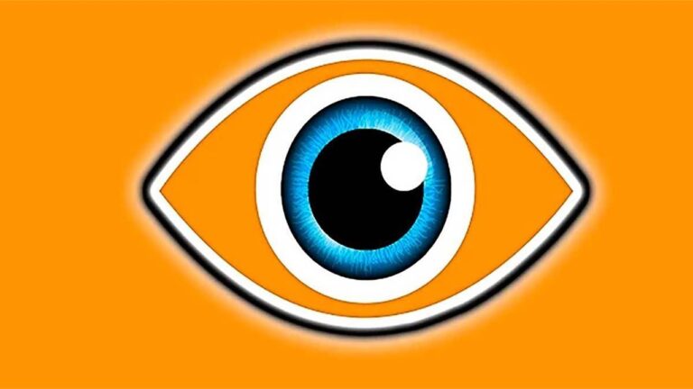 Diferencia entre ver y observar - Joguar