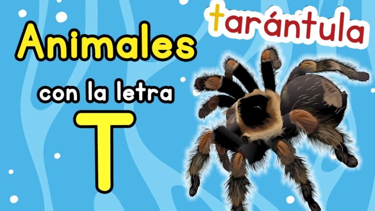 Descubre animales que comiencen con la letra T - Joguar